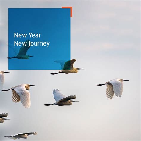 Innovation Result Driven Solutions And Working With A Global Vision