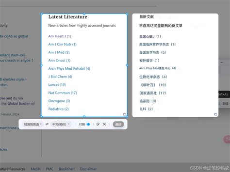 实用免费的电脑手机网页浏览器翻译工具网页翻译插件 Csdn博客