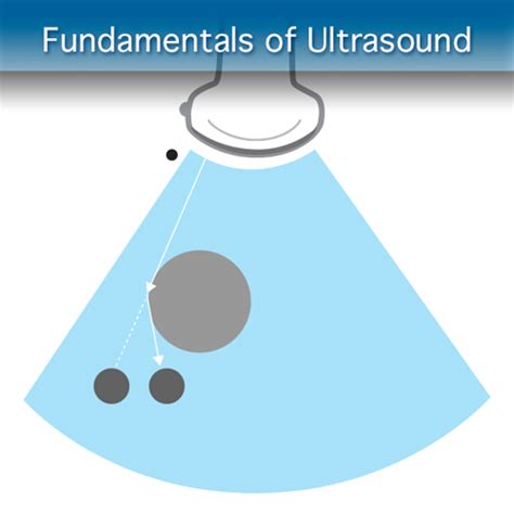 SonoSim Ultrasound Training Fundamentals Of Ultrasound Core Clinical Module