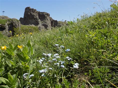 აზეულას ციხე Azeula Fortress For All The Time Of Its Exi… Flickr
