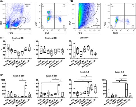 Analysis Of Cd4 And Cd8 T Cells And Cytokine Secretion In Dds‐induced