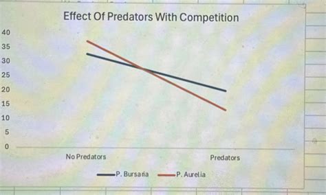 Solved Effect Of Predators With Competitionp Aurelia And Chegg