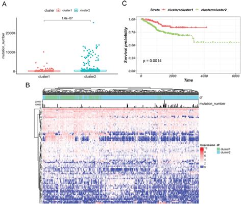 Hierarchical Clustering A Based On Gilncrnas Was Used To Cluster All Download Scientific