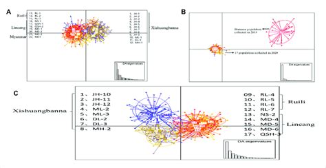 DAPC Analysis Of Ae Aegypti Population Structure Based On