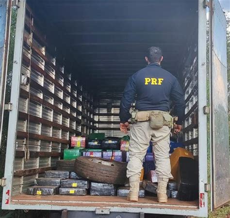 PRF apreende 6 2 toneladas de maconha e recupera caminhão na BR 163 Polícia Rodoviária Federal