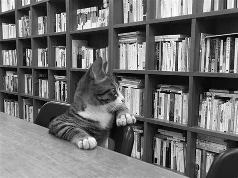 도서출판 혜윰터 드디어 숙제 하나 해결 🎉🥳 현재 함께 작업하는 편집자님은 제가 보기에 직관적인 카피 능력이 있으세요 처음 원고를 검토하고 몇 개의 제목 후보를