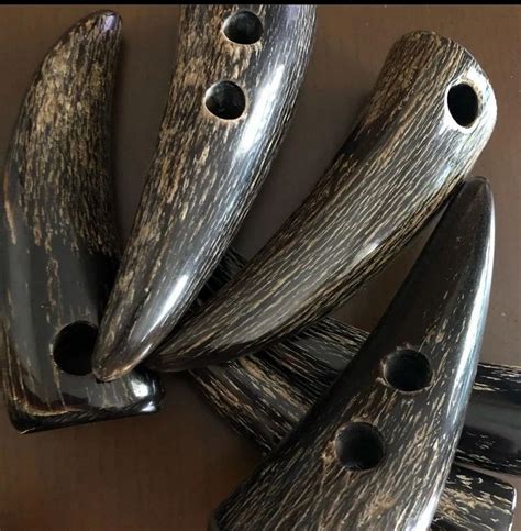 Black Round Horn Toggle At Rs 14piece In Sambhal Id 2850361756812