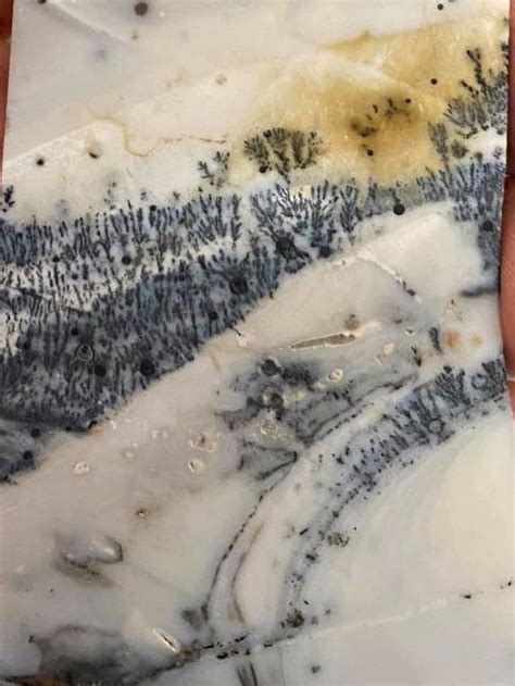 4r Fast Formed Fractal Dendrite Mysite