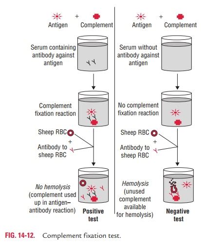 Complement Dependent Serological Tests Antigen Antibody Reactions