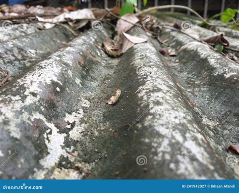 The Roof Is Of Asbestos Roof Slate Old Slates Roof With Chimney And