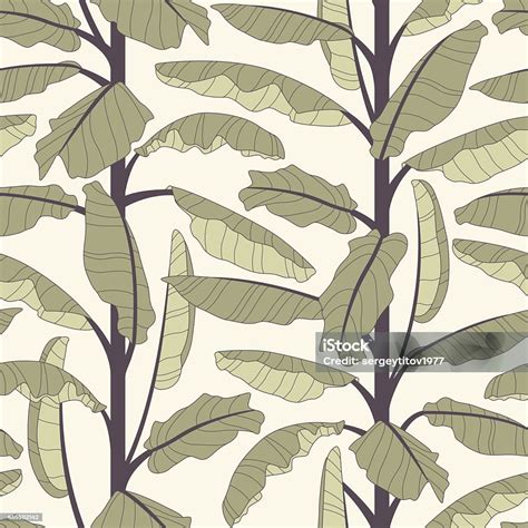 Banana Tree向量圖形及更多花樣圖案圖片 花樣圖案 2015年 優美 Istock