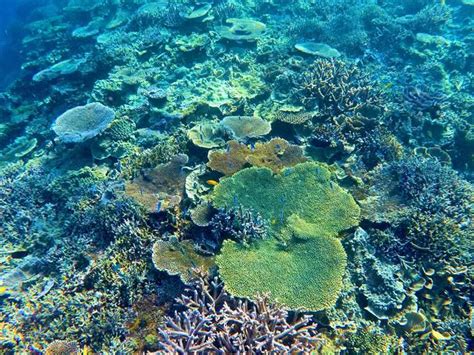失敗しない宮古島3泊4日モデルコース｜絶景の海・ご当地グルメ・定番スポットを効率的に巡る