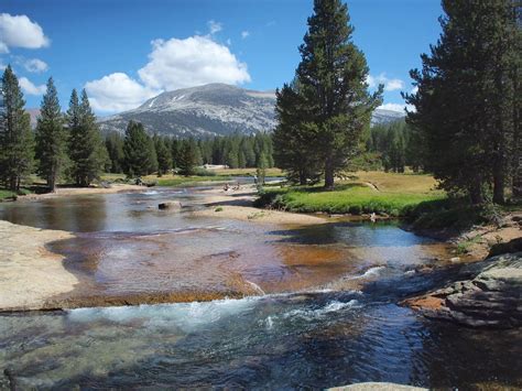 Twin Bridges Area Along The Lyell Canyon Trail At Tuolumne Meadows