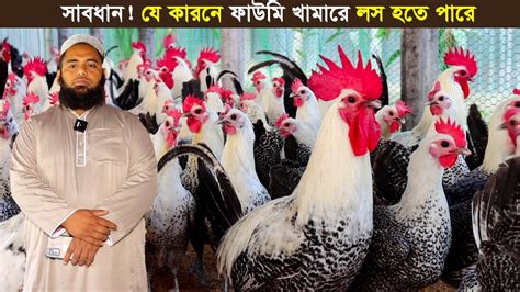 ফাউমি মুরগি পালনে যে সব কারনে লস হতে পারে।খামার করার আগে সাবধান। Fowomi Morgi Youtube