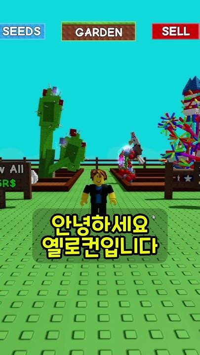 초거대 무지개 해바라기 Shorts Youtube