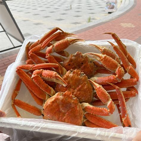 국내가장저렴 수율보장 러시아 대게 1kg 26000원 인천광역시 연수구 연수동 비즈프로필
