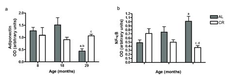 Protein Levels Of Adiponectin A And Nuclear Nf κb In Adipose Tissue