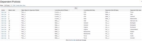 Dependent Picklist In Salesforce Flow Using Custom Metadata Type