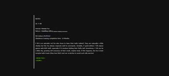 RDP Files By Zen
