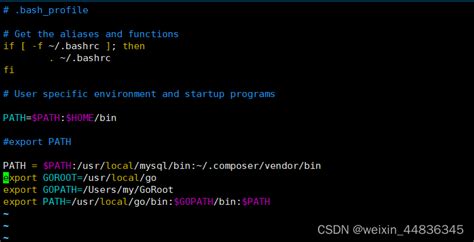 Linux环境下Go语言的完整安装教程 CSDN博客