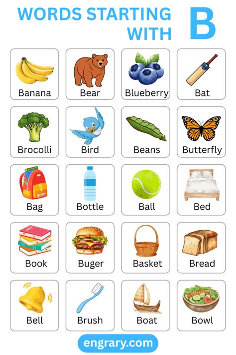 150 Words Starting With B Extensive Words List • Engrary