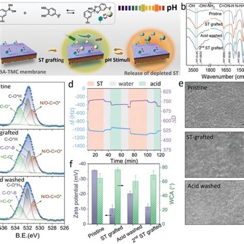 A Boronate Ester Driven Rechargeable Antibacterial Membrane For Fast Molecular Sieving Request Pdf