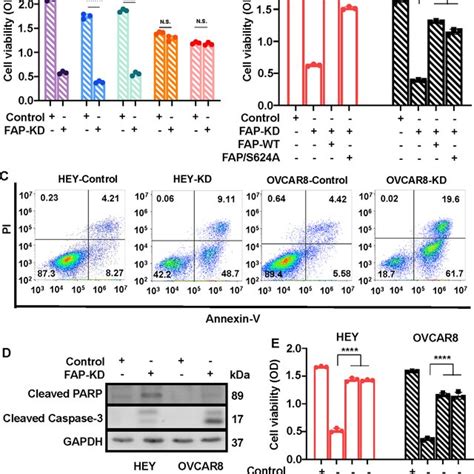 Nf κb Signaling Is Impaired In Ovarian Cancer Cells With Download