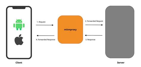 Mobile Proxies For App Testing Simulating User Behavior Worldwide By