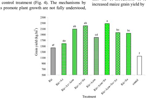 Effect Of Pgpr And Rhizobium Bacteria On Grain Yield In Mungbean Download Scientific Diagram
