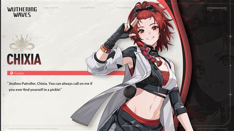 Build For Chixia In Wuthering Waves