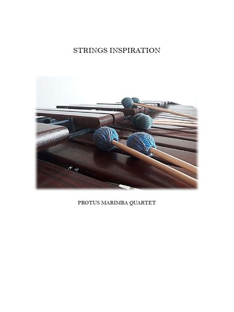 Portfolio Protus Marimba Quartet Strings Inspiration Pdf