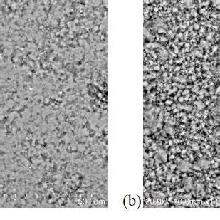 Limestone Microstructure In A Non Altered Surface And B Altered
