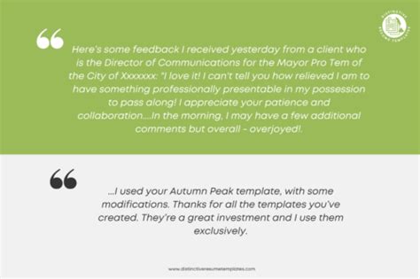 An Eye Catching Resume Template For Executives Professionals