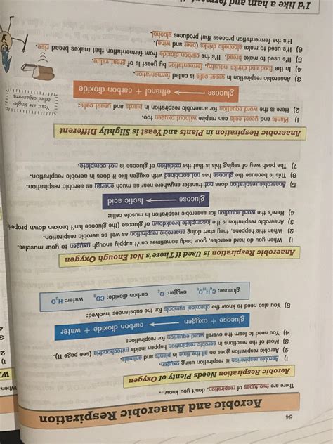 Anaerobic Respiration In Yeast Equation