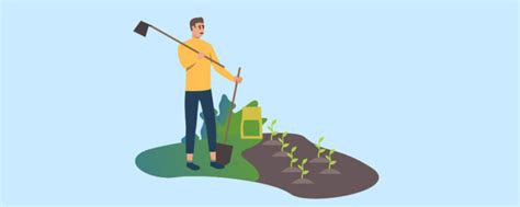 Complete Guide To Removing Weeds