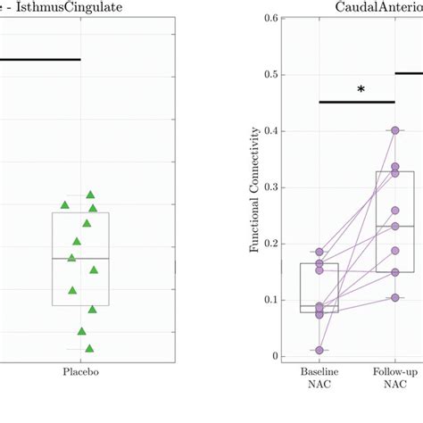 Structural Connectivity Of Connection Between The Caudal Anterior Download Scientific Diagram