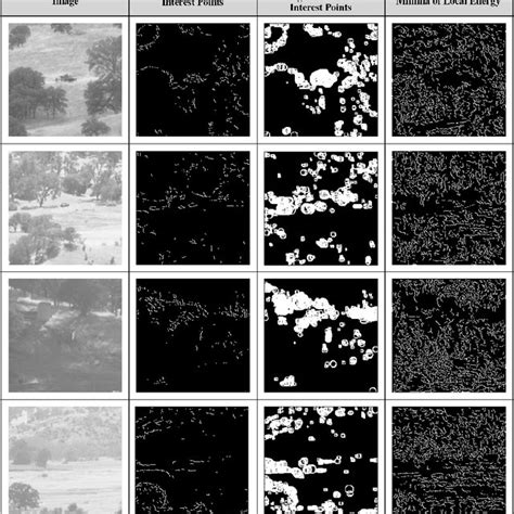 Cluster 1 Of Targets With Comparable Visual Distinctness Target And