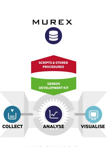 Murex Video Tutorial