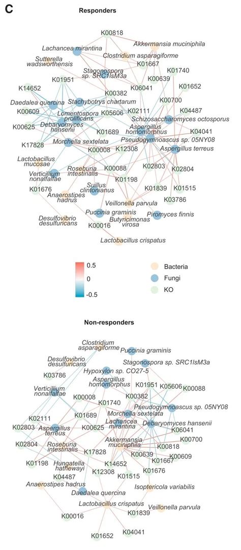 MicrobiomeStatPlot 物种和基因Spearman相关网络分析 CSDN博客