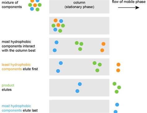 Reversed Phase Chromatography An Overview