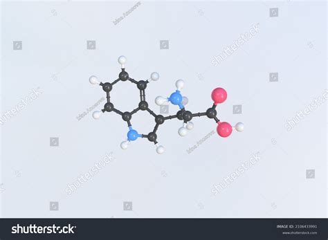 트립토판의 분자 고립된 분자 모델 3d 스톡 일러스트 2106433991 Shutterstock