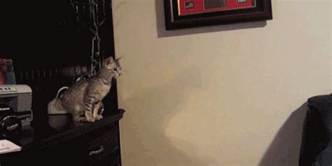 When I Feel Like Im Ready To Start My Database Migration The Coding