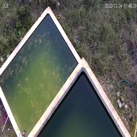 Algaedetection Object Detection Model V2 2023 04 29 11 47am By New Workspace Tccht