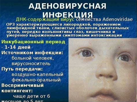 Аденовирусная инфекция это вирусное заболевание вызываемое аденовирусом одна из