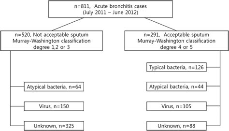 Bronchitis Bacteria