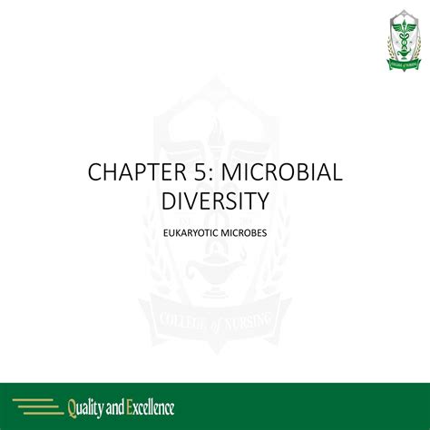 Chapter 5 Eukaryotic Microbes Univ College Of Nursing Chapter 5 Microbial Diversity
