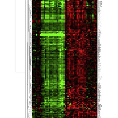 an unsupervised hierarchical clustering of 50 gastric tissues with 260