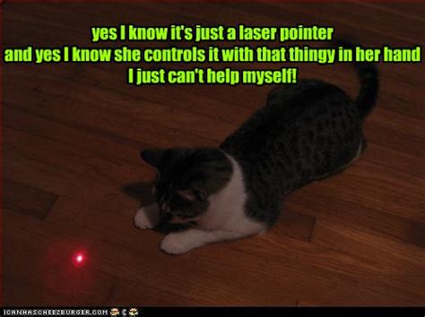 Yes I Know It S Just A Laser Pointer And Yes I Know She Controls It With That Thingy In Her Hand