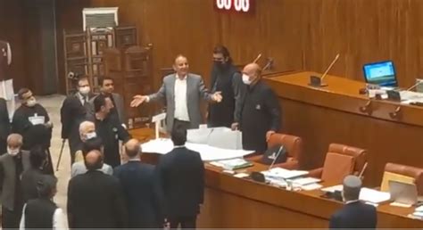 48 Newly Elected Senators Take Oath