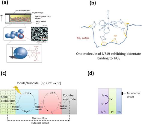 Modification Of Physical And Chemical Properties Of Titanium Dioxide